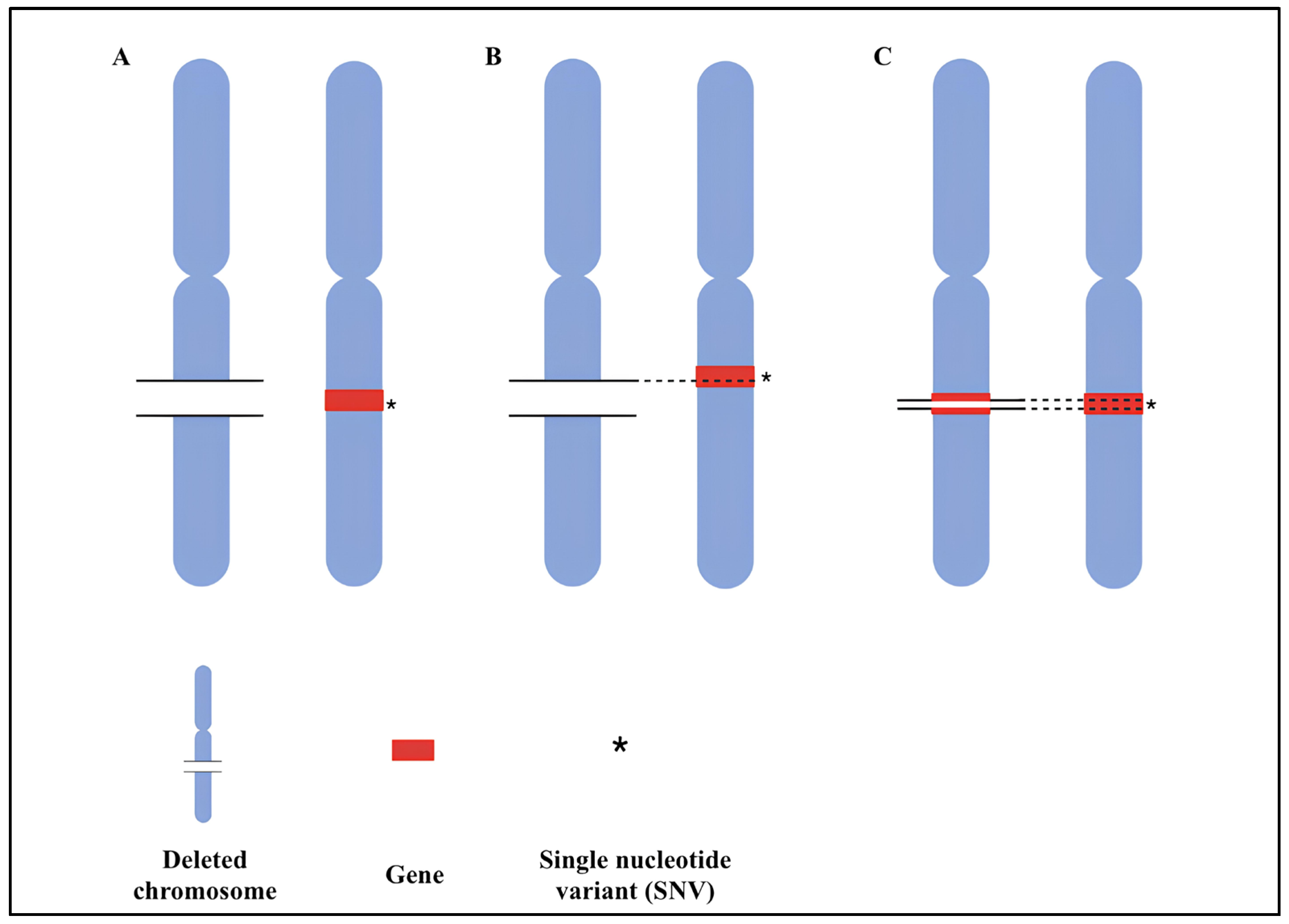Autism Spectrum Disorder: Genetic Mechanisms and Inheritance Patterns ...