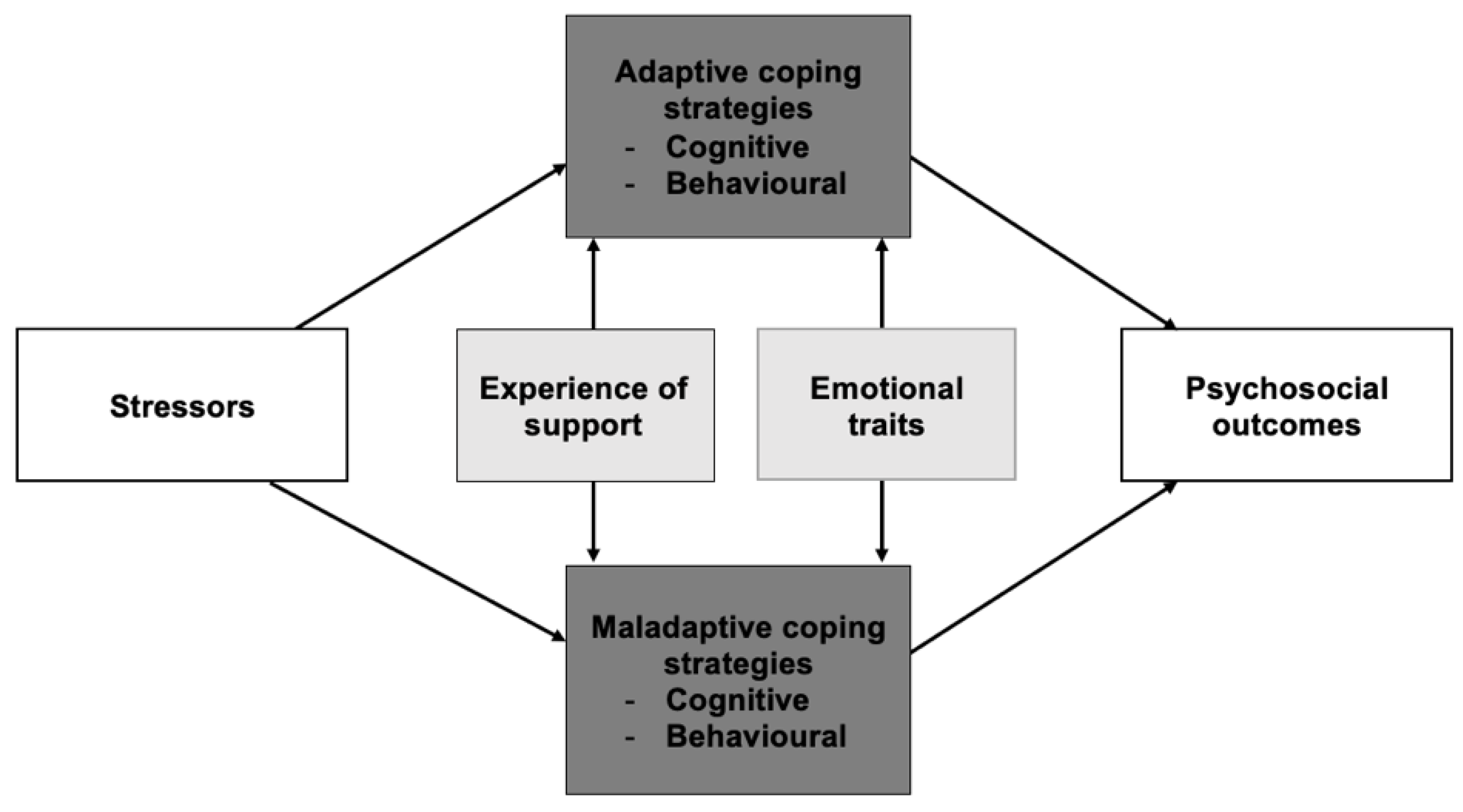 Identifying Coping Strategies Used by Transgender Individuals in ...