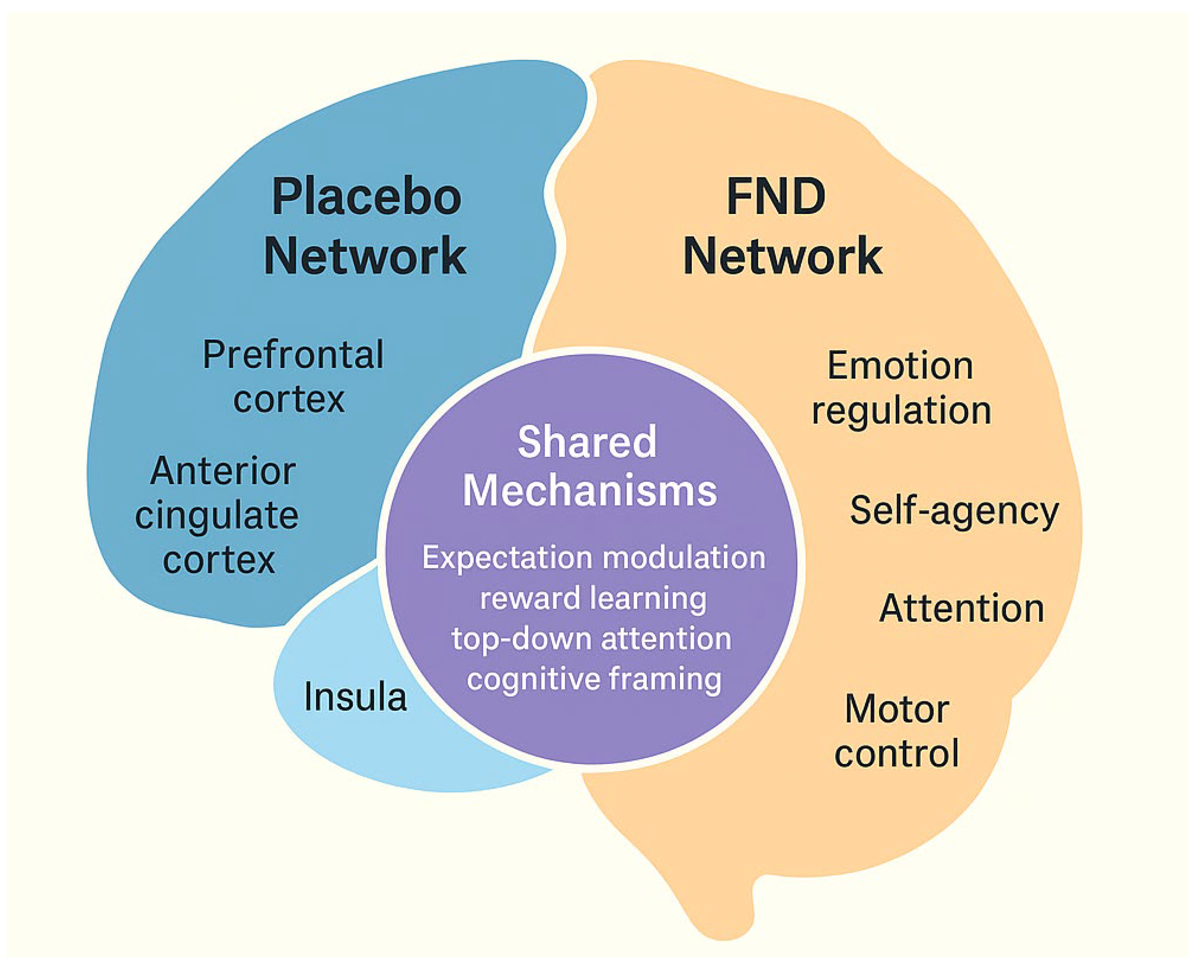 Placebo in Functional Neurological Disorders: Promise and Controversy ...
