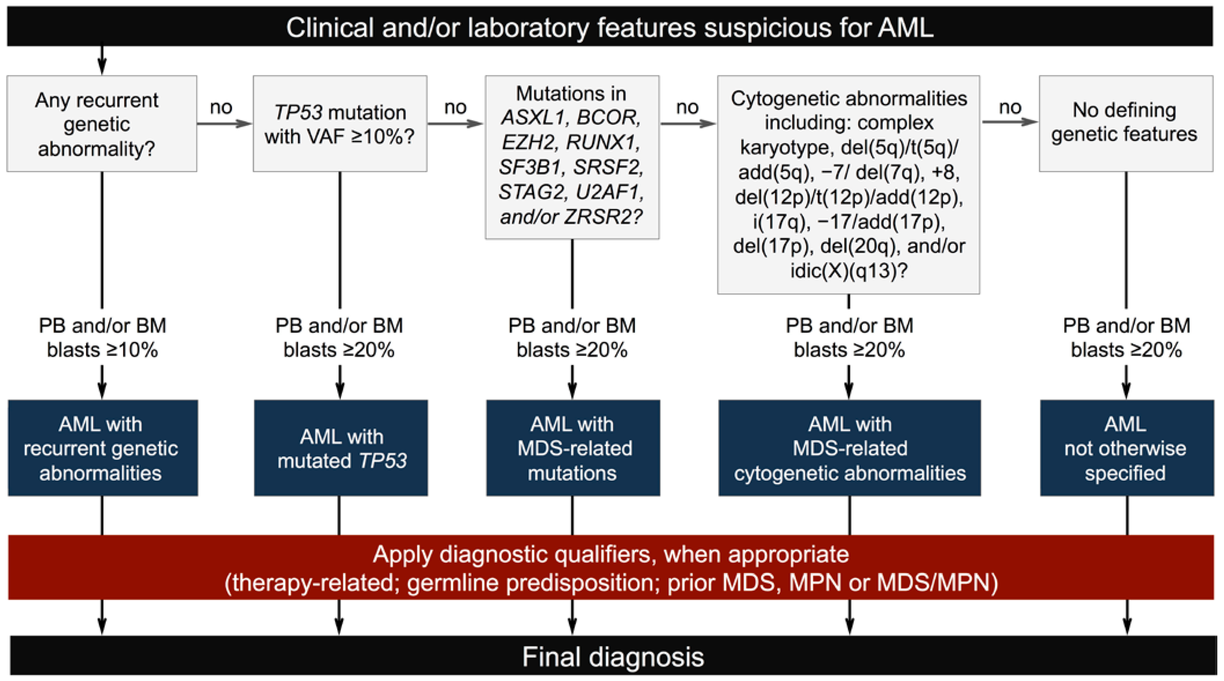 What’s New in the Classification, Diagnosis and Therapy of Myeloid ...
