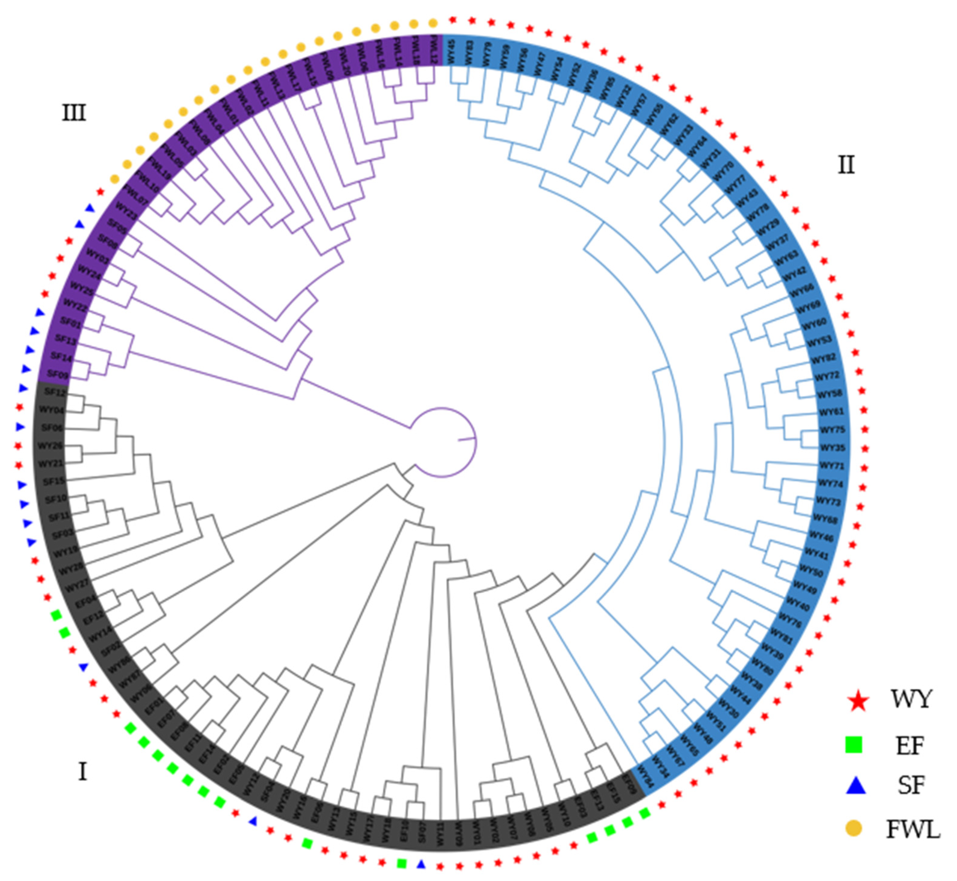 Genetic Diversity of Tea Plant (Camellia sinensis (L.) Kuntze ...