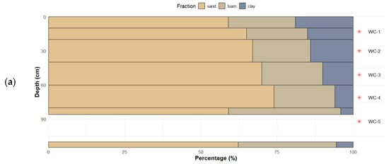 Hydrodynamic Parameter Estimation for Simulating Soil-Vegetation ...