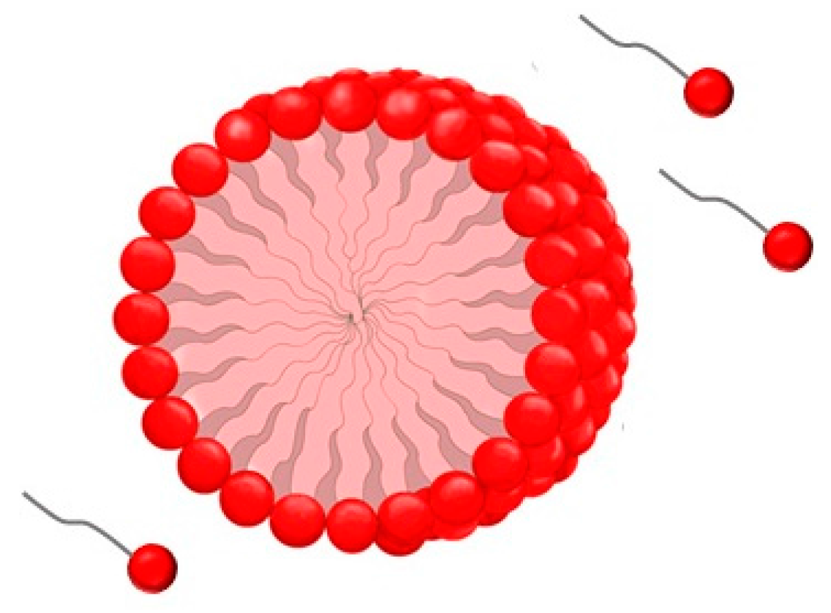 Biosurfactants: Multifunctional Biomolecules of the 21st Century | MDPI
