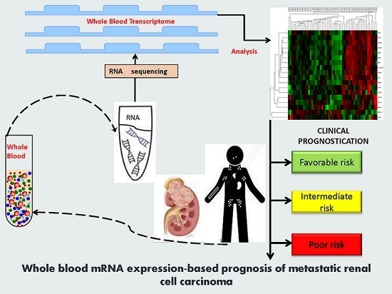 Whole Blood mRNA Expression-Based Prognosis of Metastatic Renal Cell ...