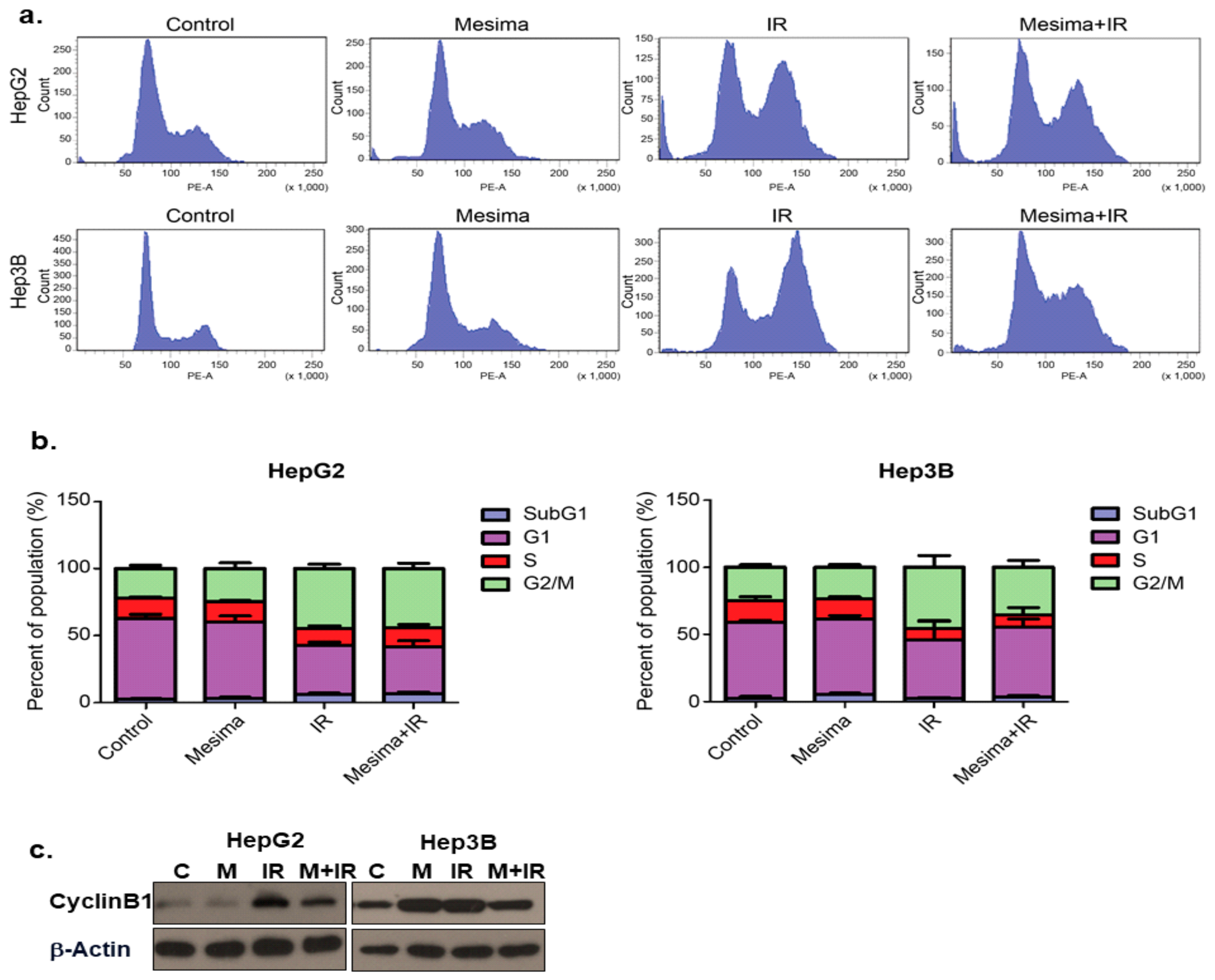 The Biofunctional Effects of Mesima as a Radiosensitizer for ...