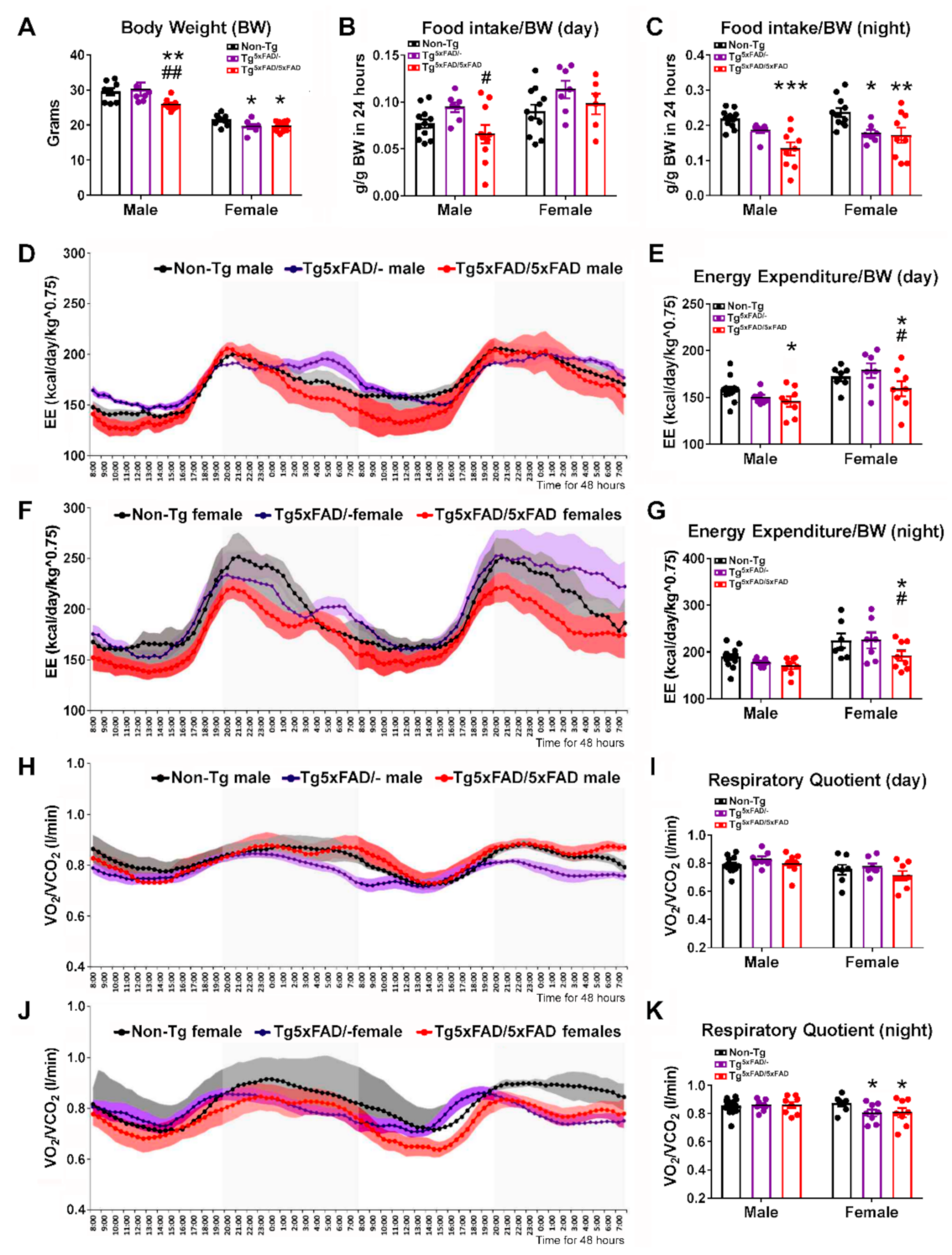 A Negative Energy Balance Is Associated with Metabolic Dysfunctions in ...