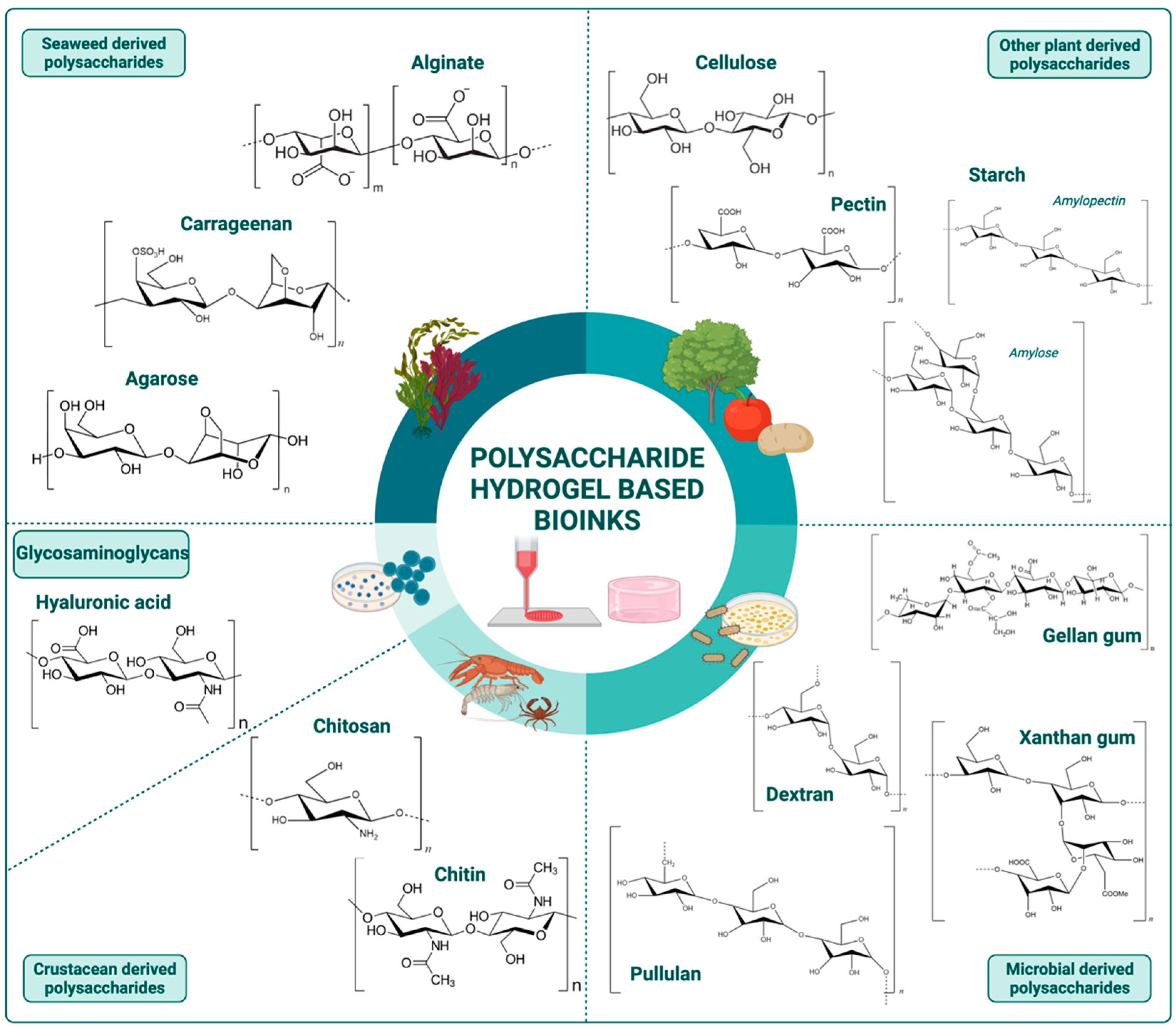 A Guide to Polysaccharide-Based Hydrogel Bioinks for 3D Bioprinting ...