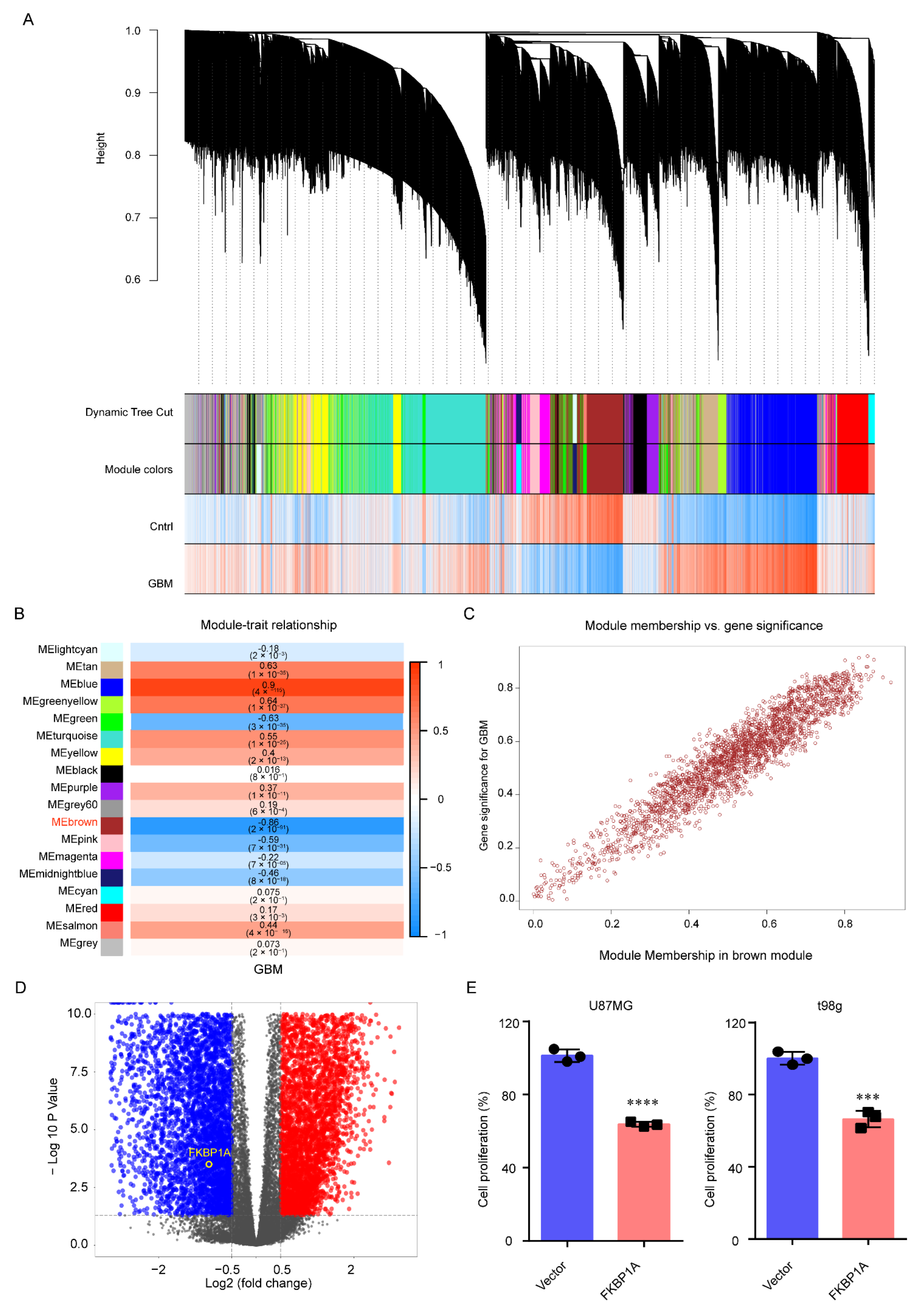 Upregulated FKBP1A Suppresses Glioblastoma Cell Growth via Apoptosis ...