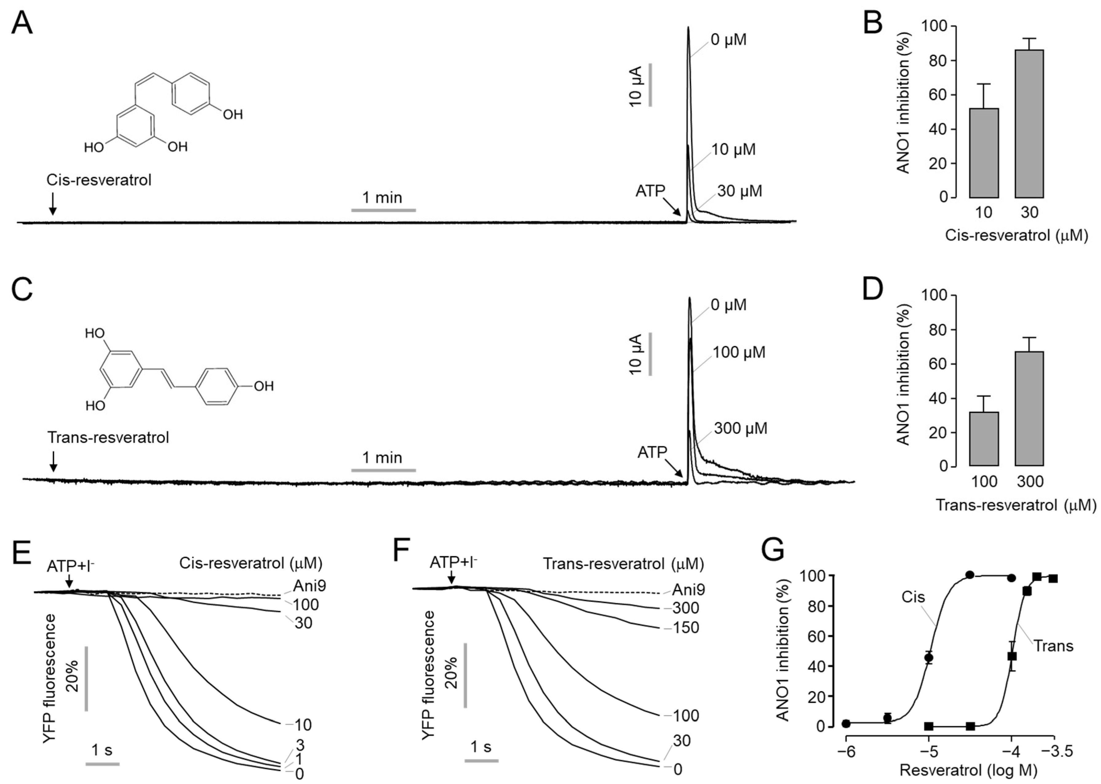 Inhibition of ANO1 by Cis- and Trans-Resveratrol and Their Anticancer ...
