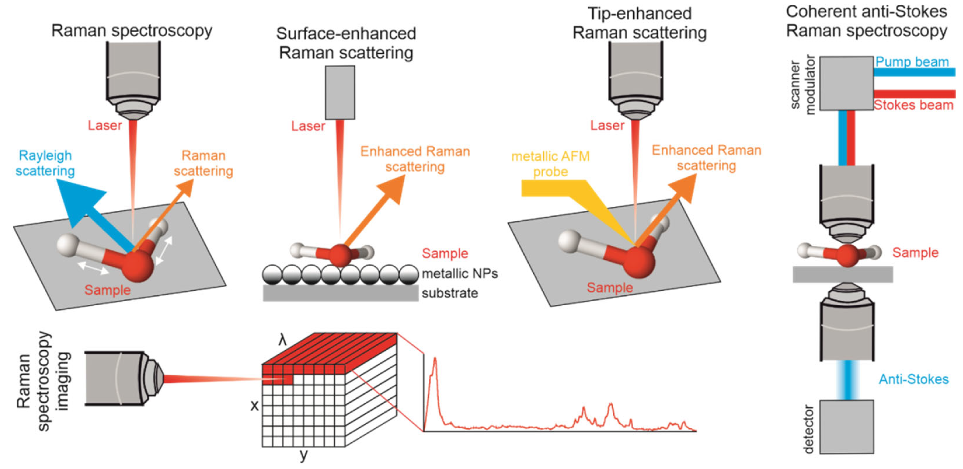 Application of Vibrational Spectroscopic Techniques in the Study of the Natural Polysaccharides ...