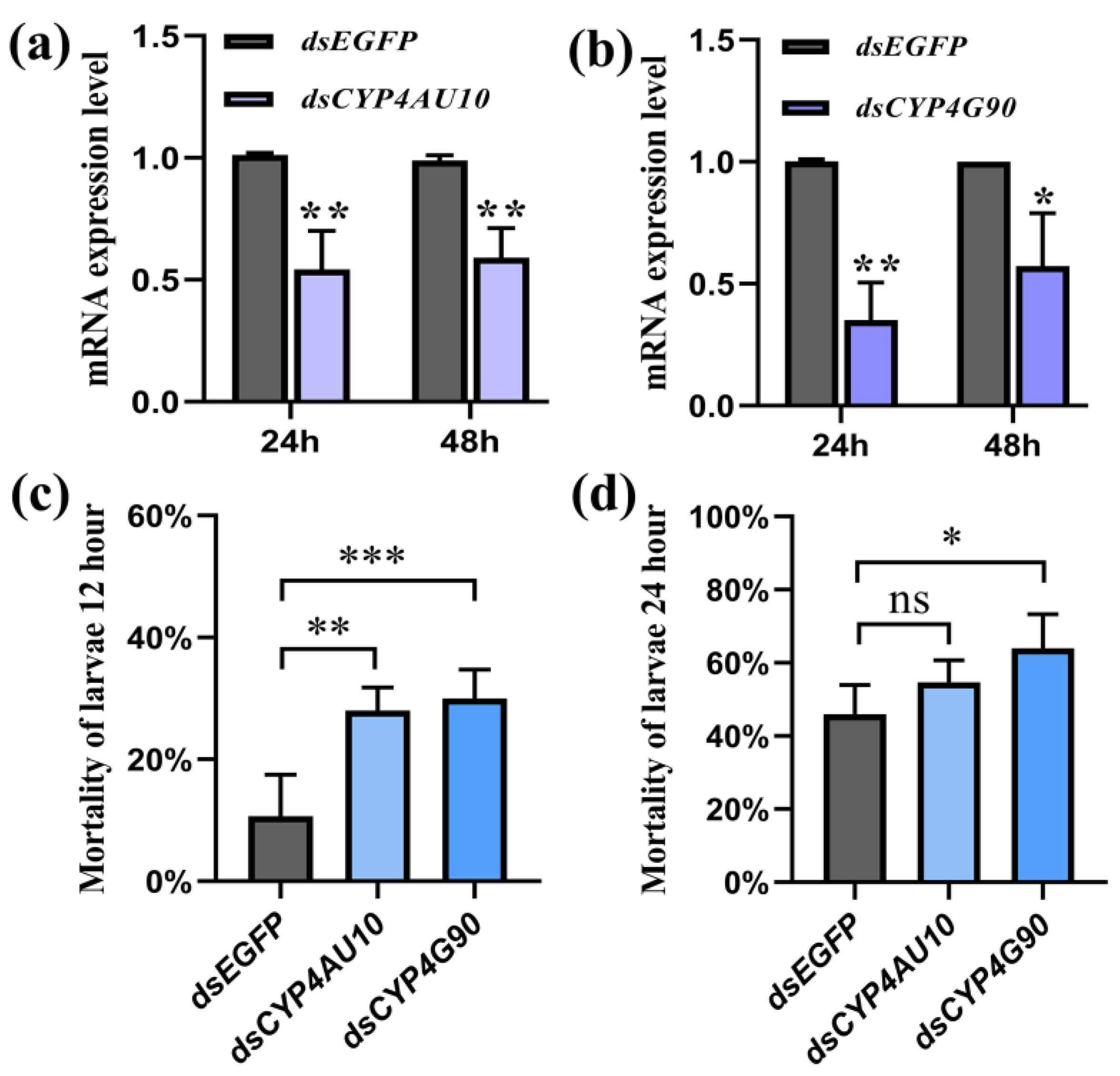 Transcriptomic Analysis Reveals the Detoxification Mechanism of Chilo ...