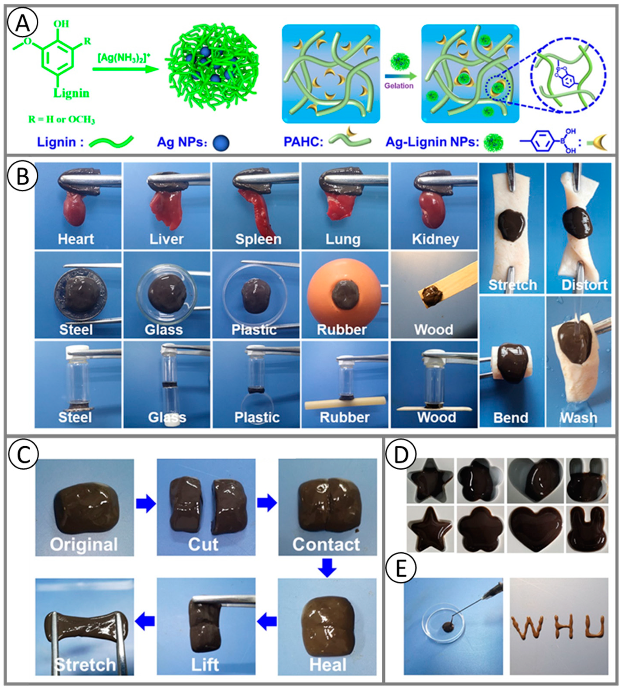 Lignin, the Lignification Process, and Advanced, Lignin-Based Materials ...