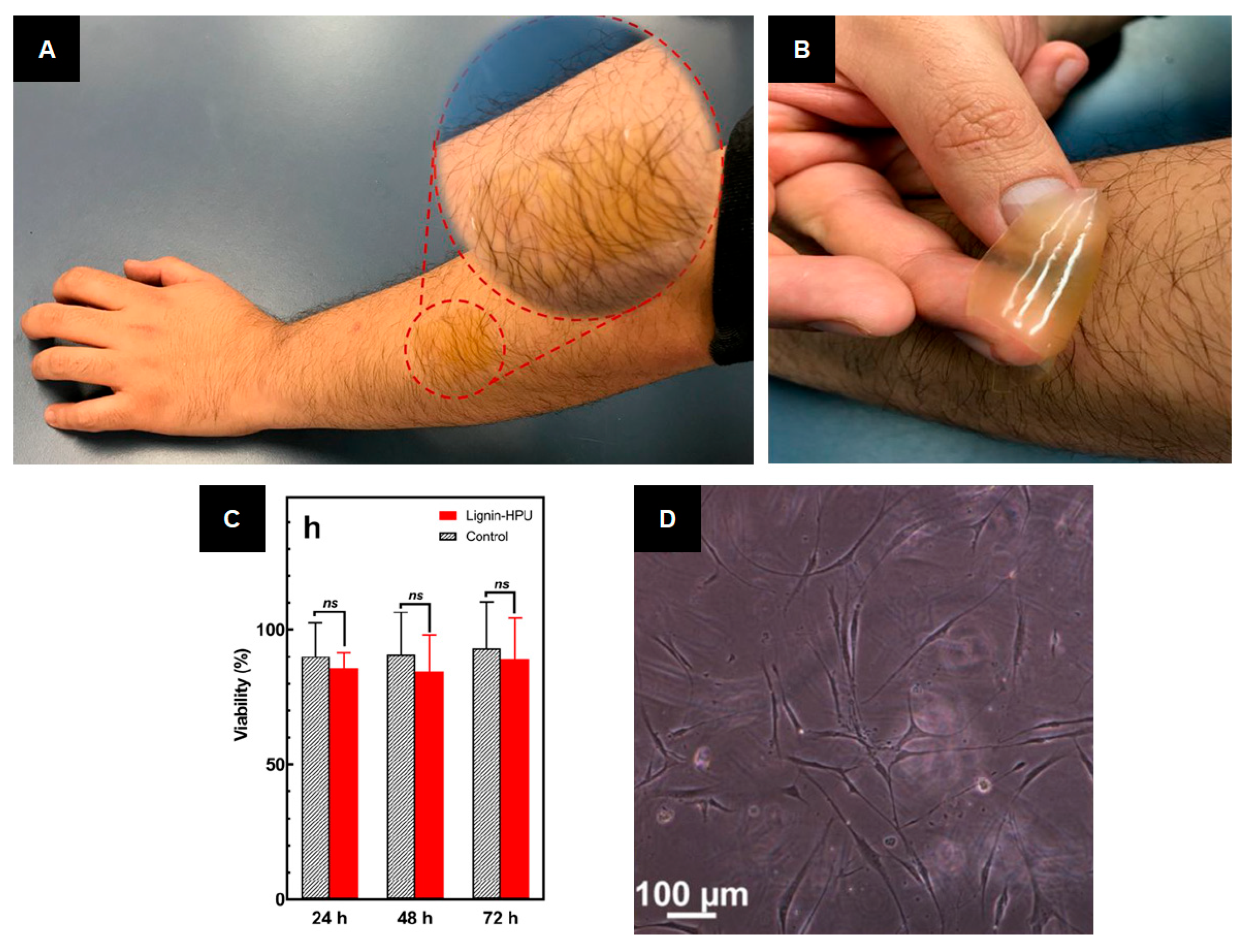 Sustainable Biomass Lignin-Based Hydrogels: A Review on Properties ...