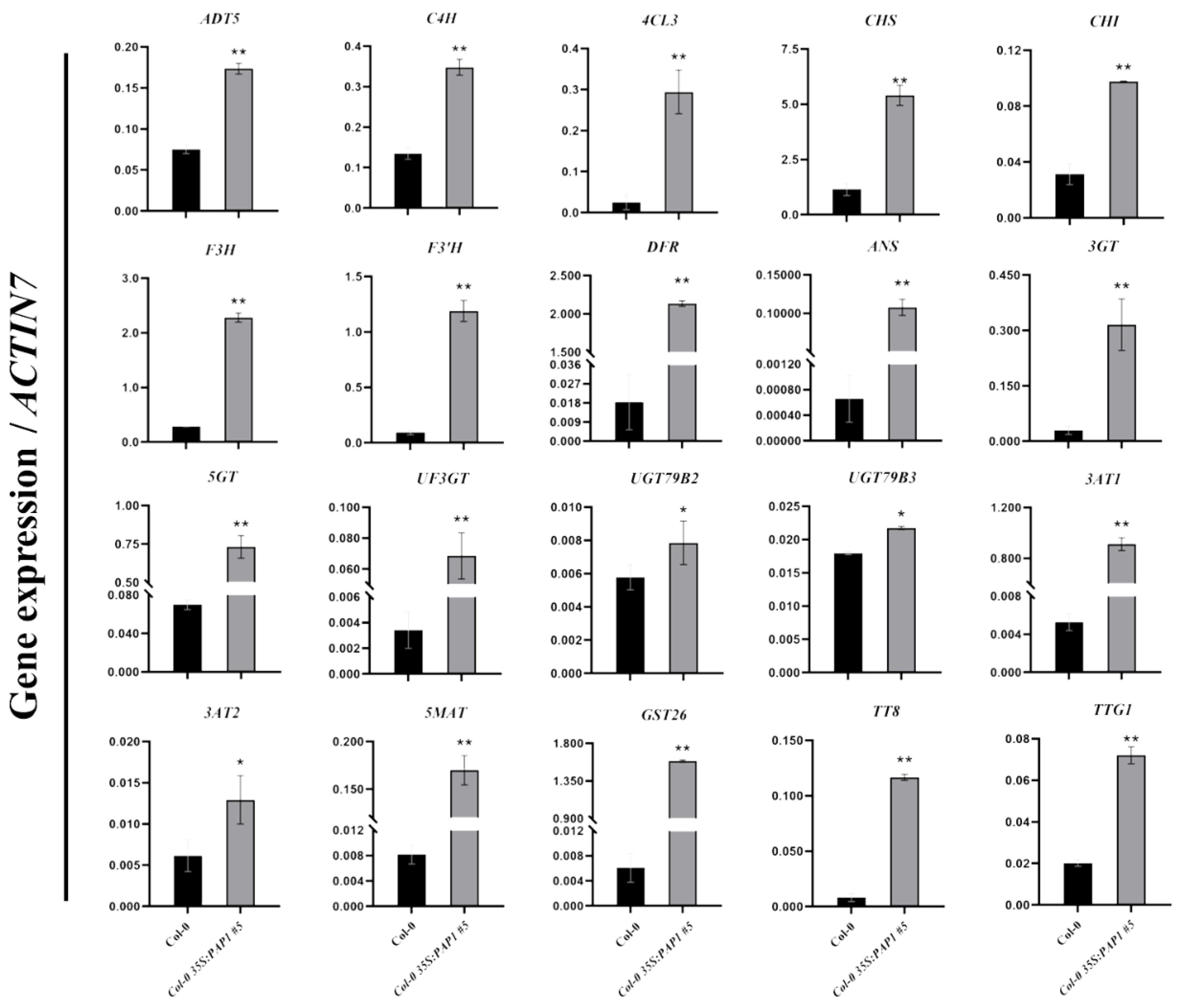 Genome-Wide Identification of PAP1 Direct Targets in Regulating Seed ...
