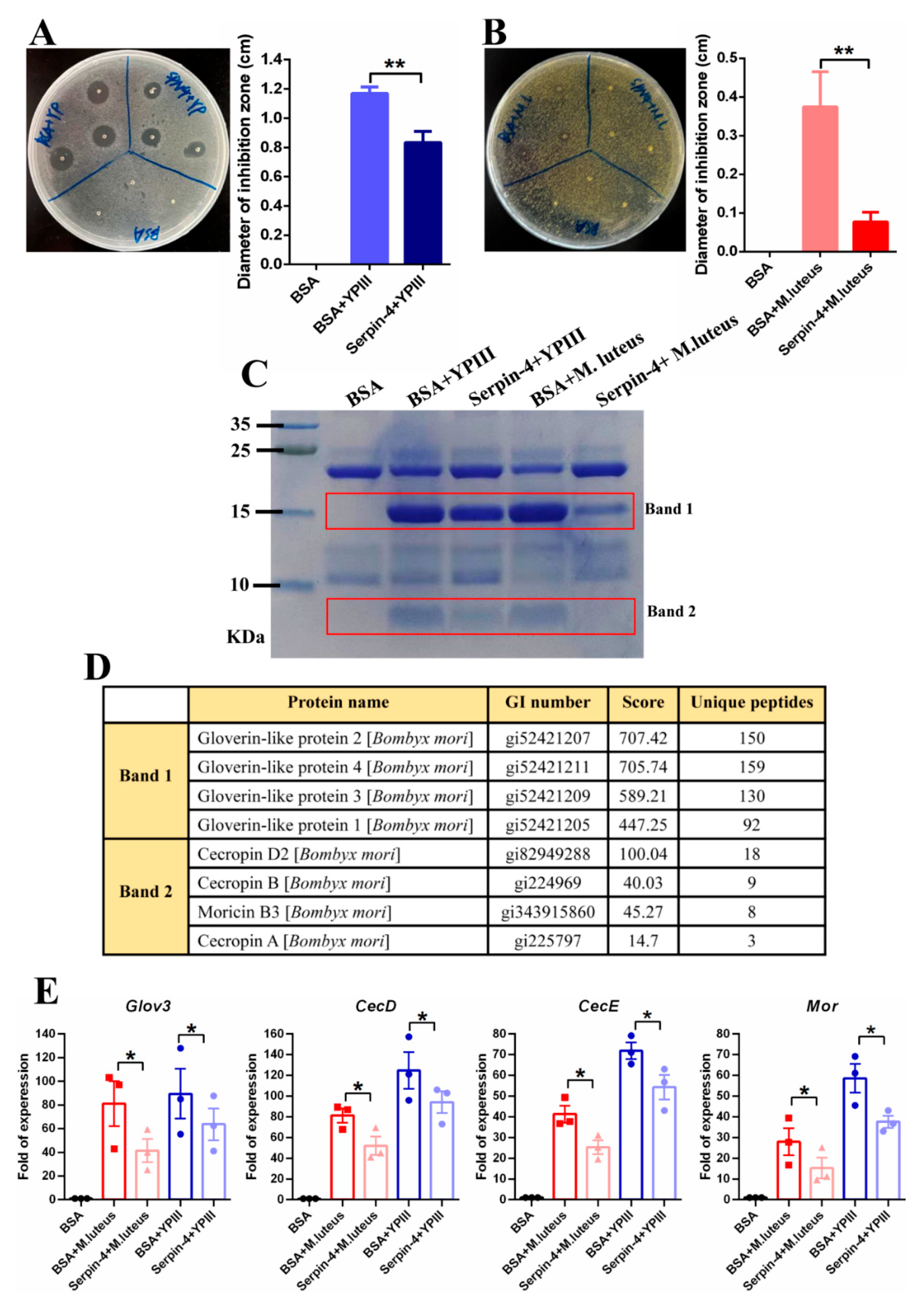 Serpin-4 Negatively Regulates Prophenoloxidase Activation and ...