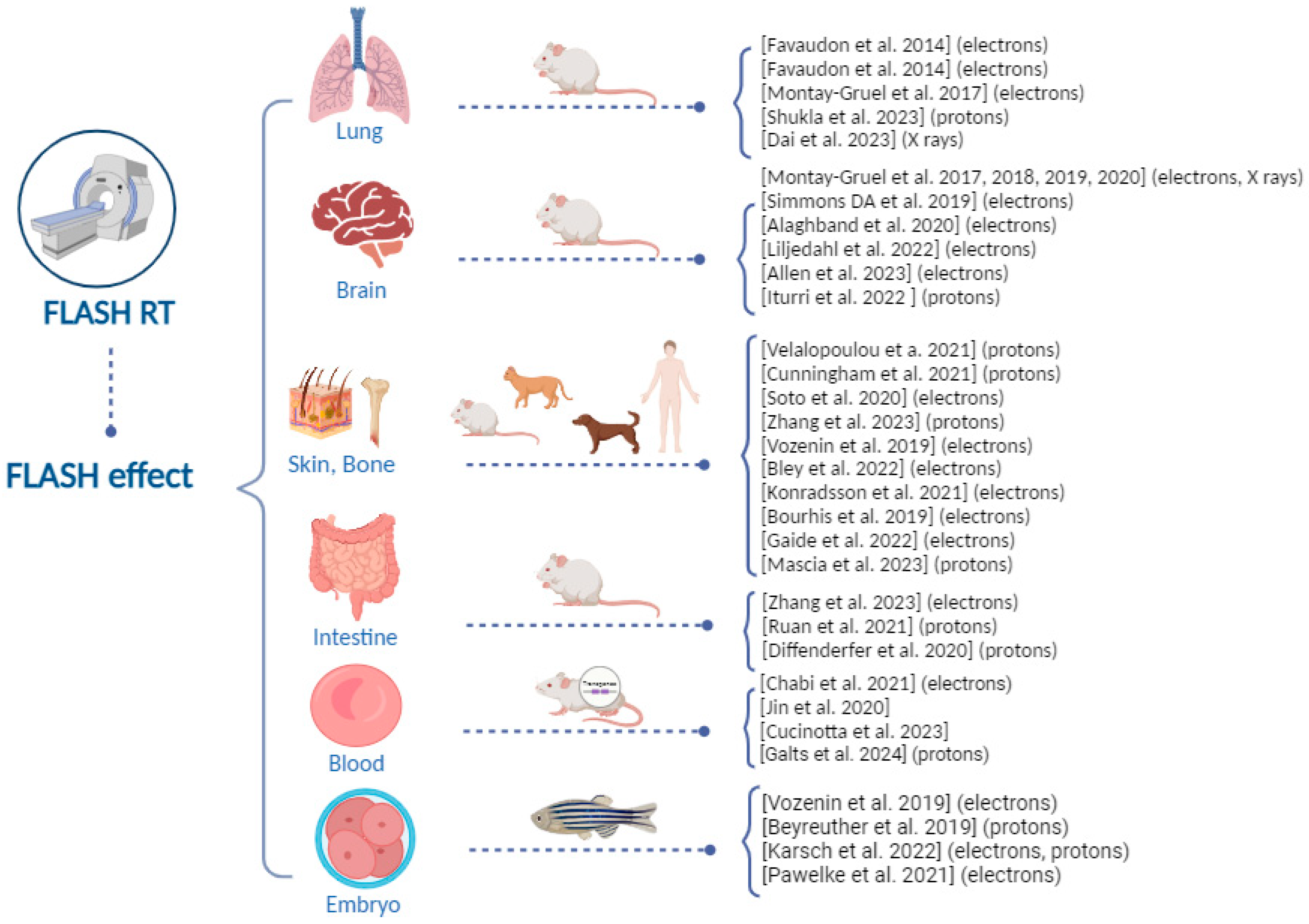 FLASH Radiotherapy: Expectations, Challenges, and Current Knowledge | MDPI