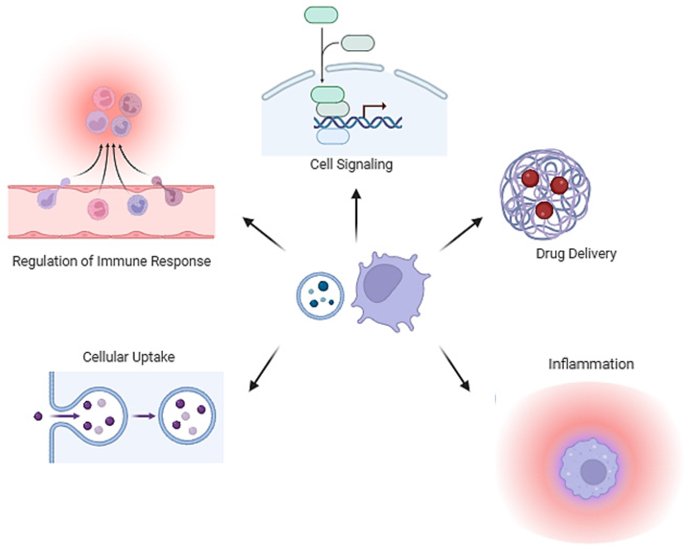 Interactions of Gram-Positive Bacterial Membrane Vesicles and Hosts ...