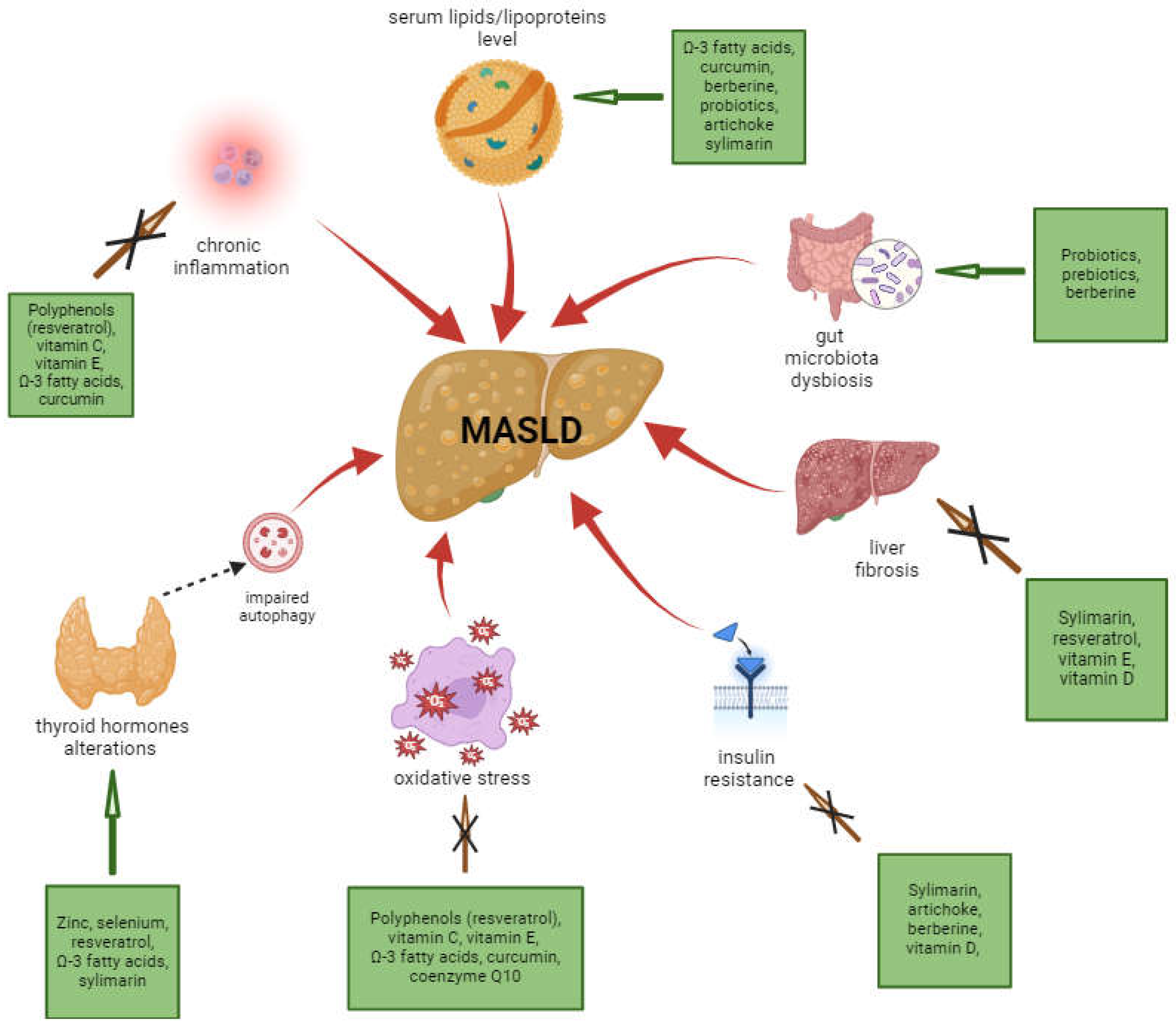 Does Resveratrol Improve Metabolic Dysfunction-Associated Steatotic ...