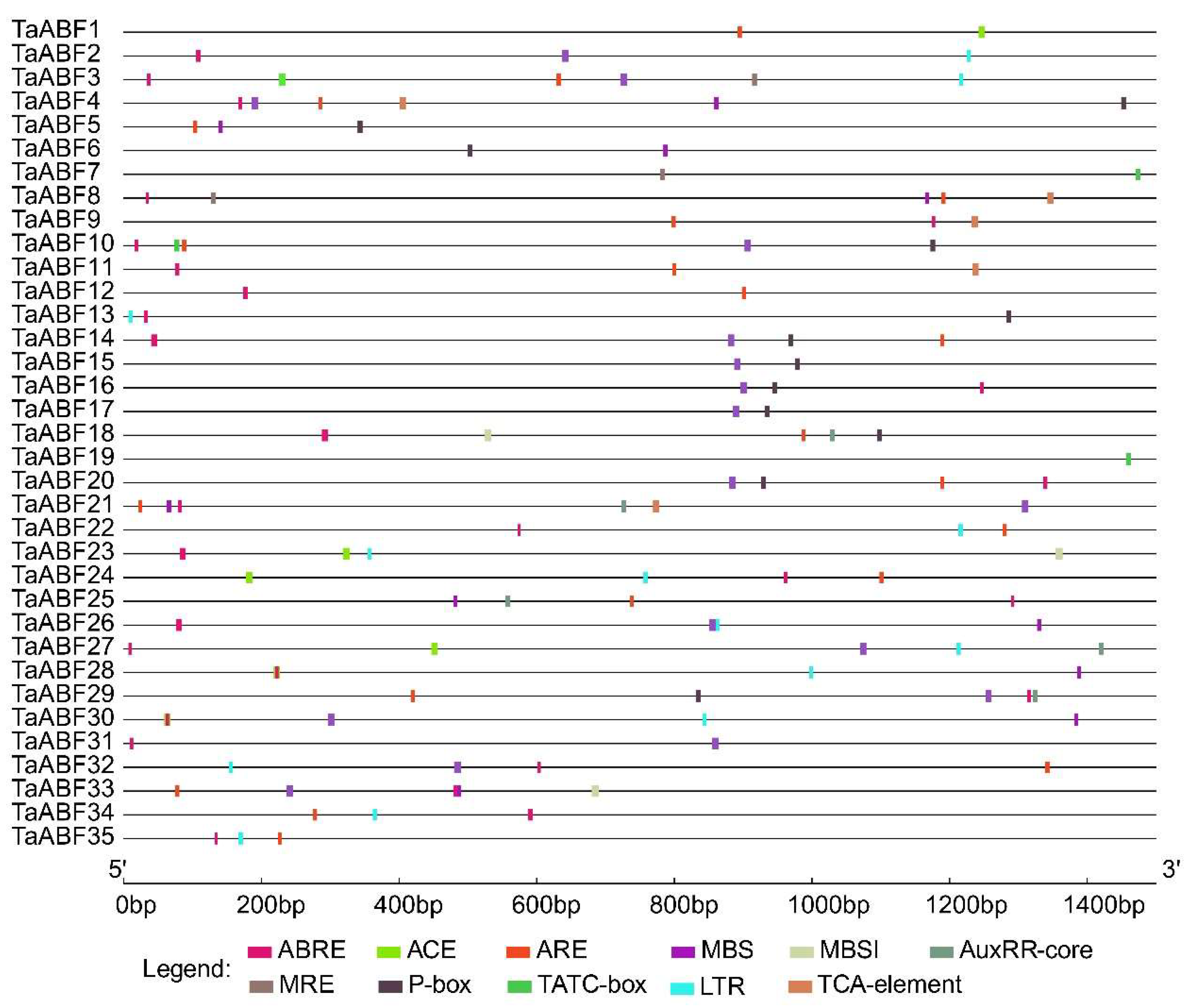 Genome-Wide Identification and Expression Profiling of the ABF ...