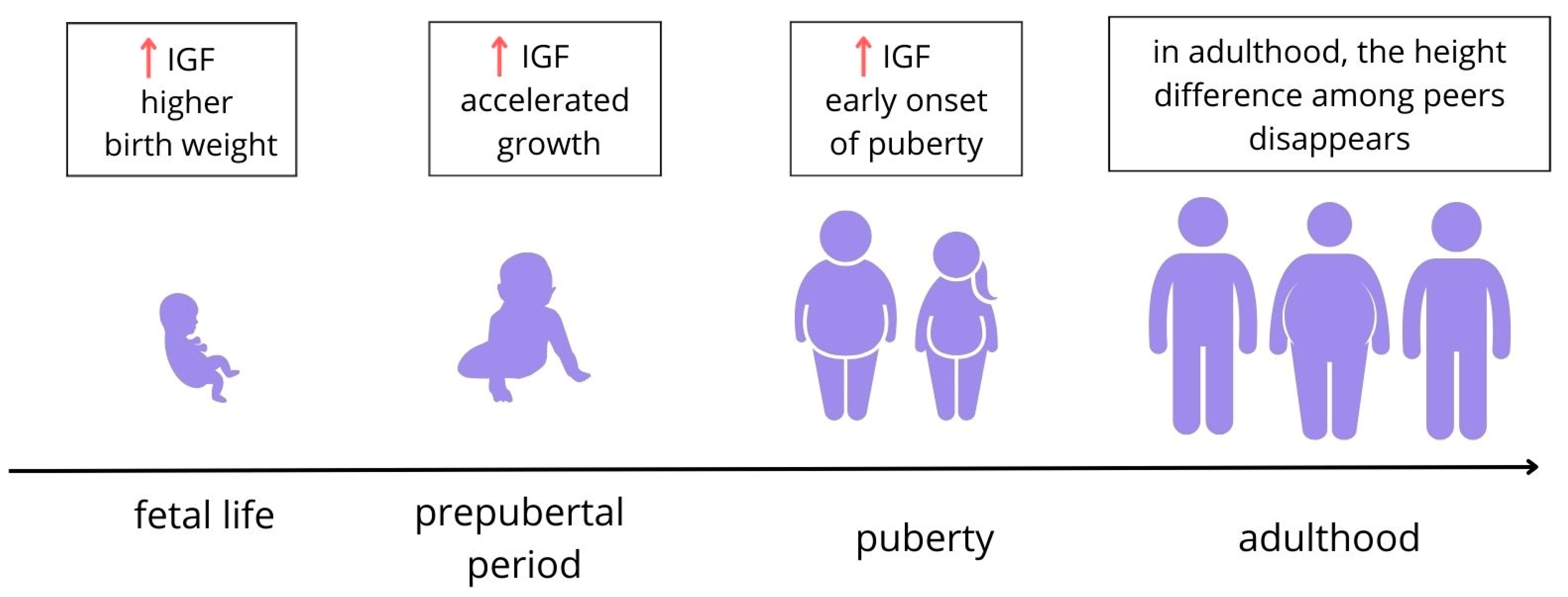 IGF-1 and IGF-2 as Molecules Linked to Causes and Consequences of ...