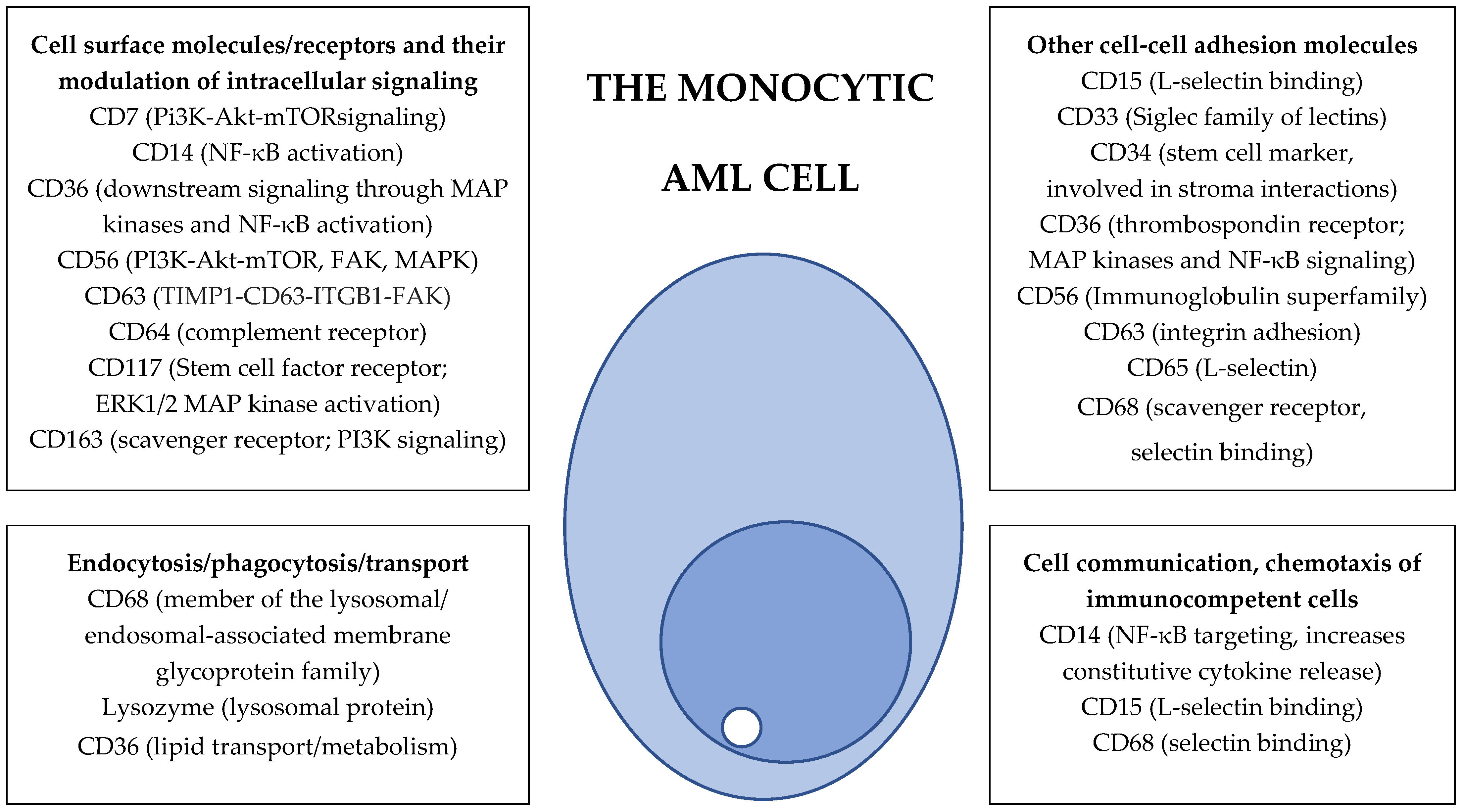 Monocytic Differentiation in Acute Myeloid Leukemia Cells: Diagnostic ...