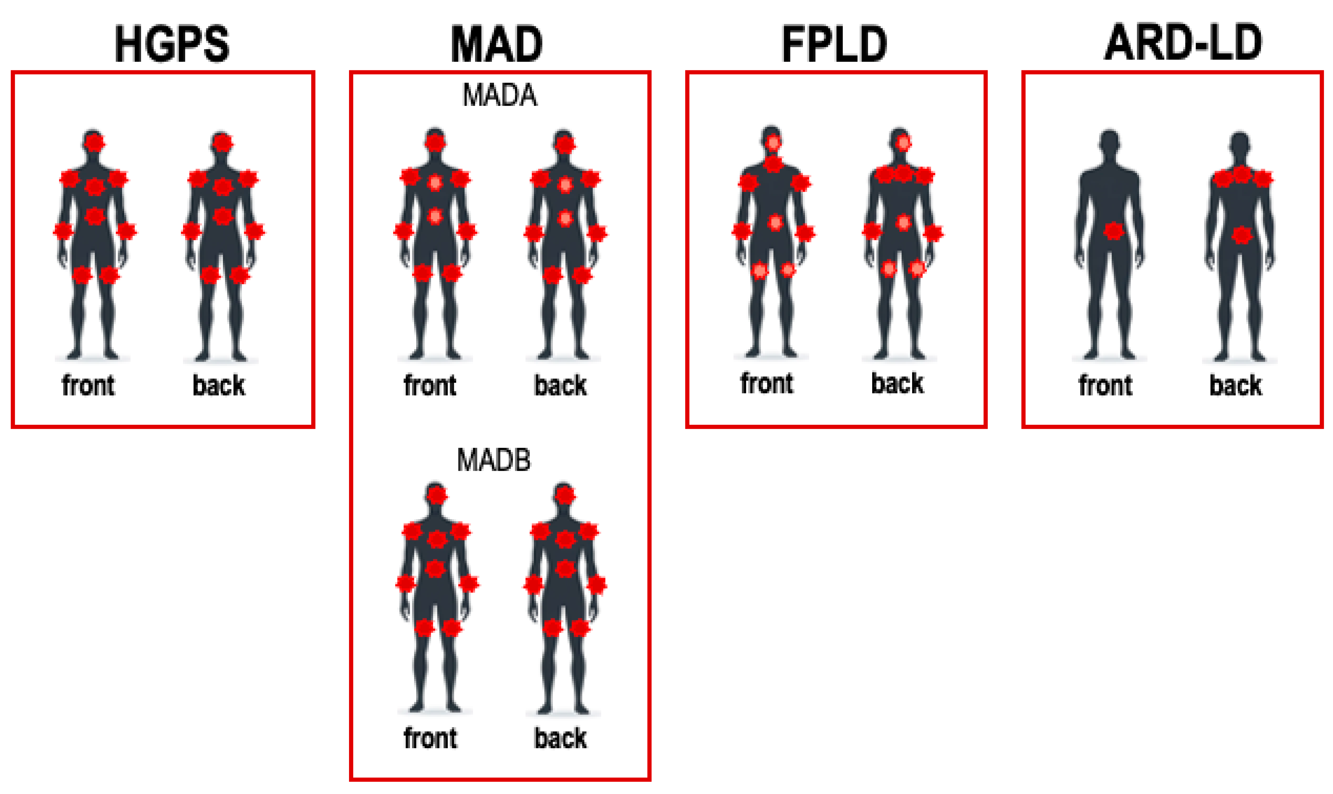 Navigating Lipodystrophy: Insights from Laminopathies and Beyond | MDPI