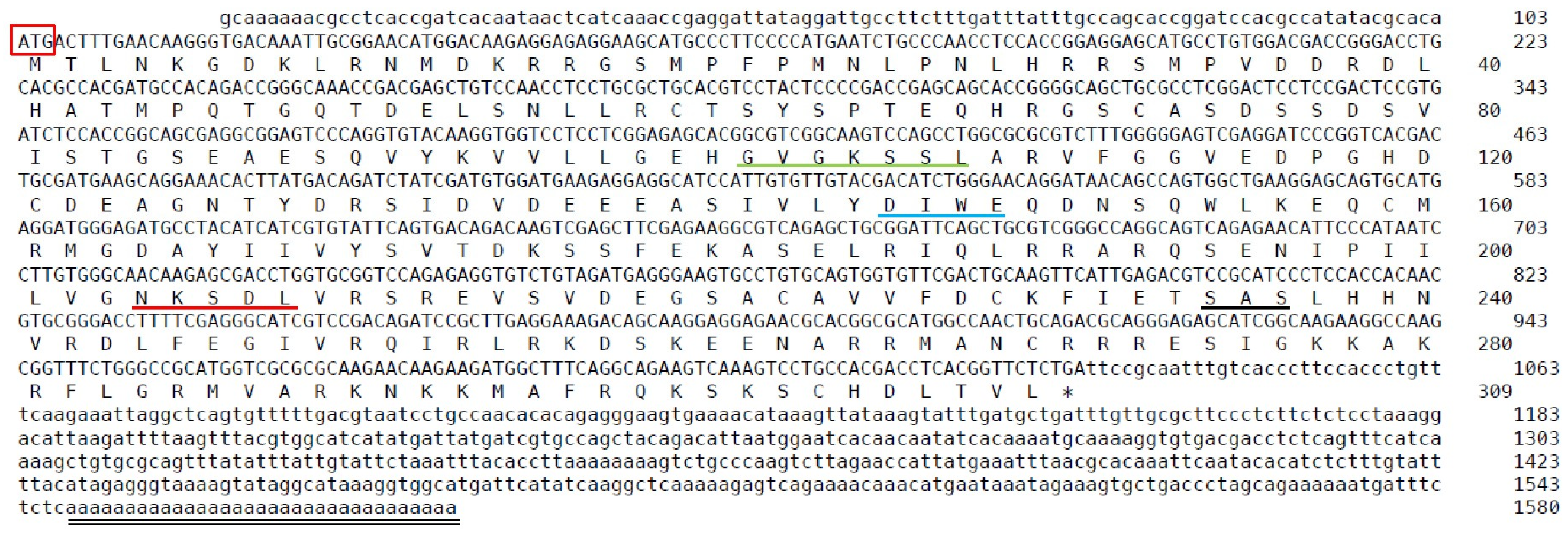 Identification and Functional Analysis of Ras-Related Associated with ...