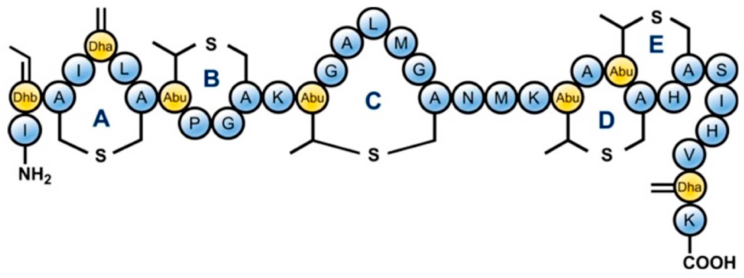 Antimicrobial Peptides Derived from Bacteria: Classification, Sources ...