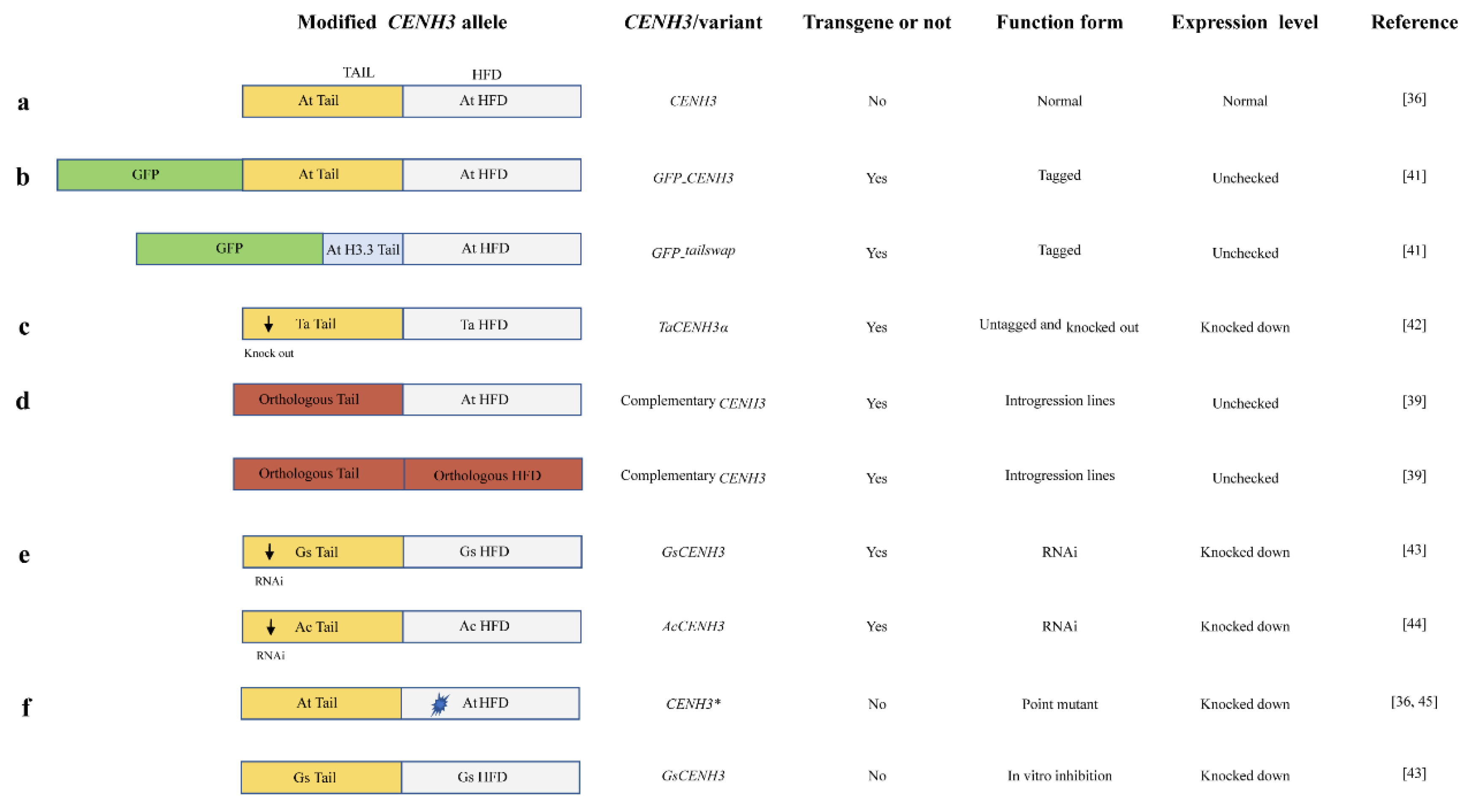 Recent Progress on Plant Apomixis for Genetic Improvement | MDPI