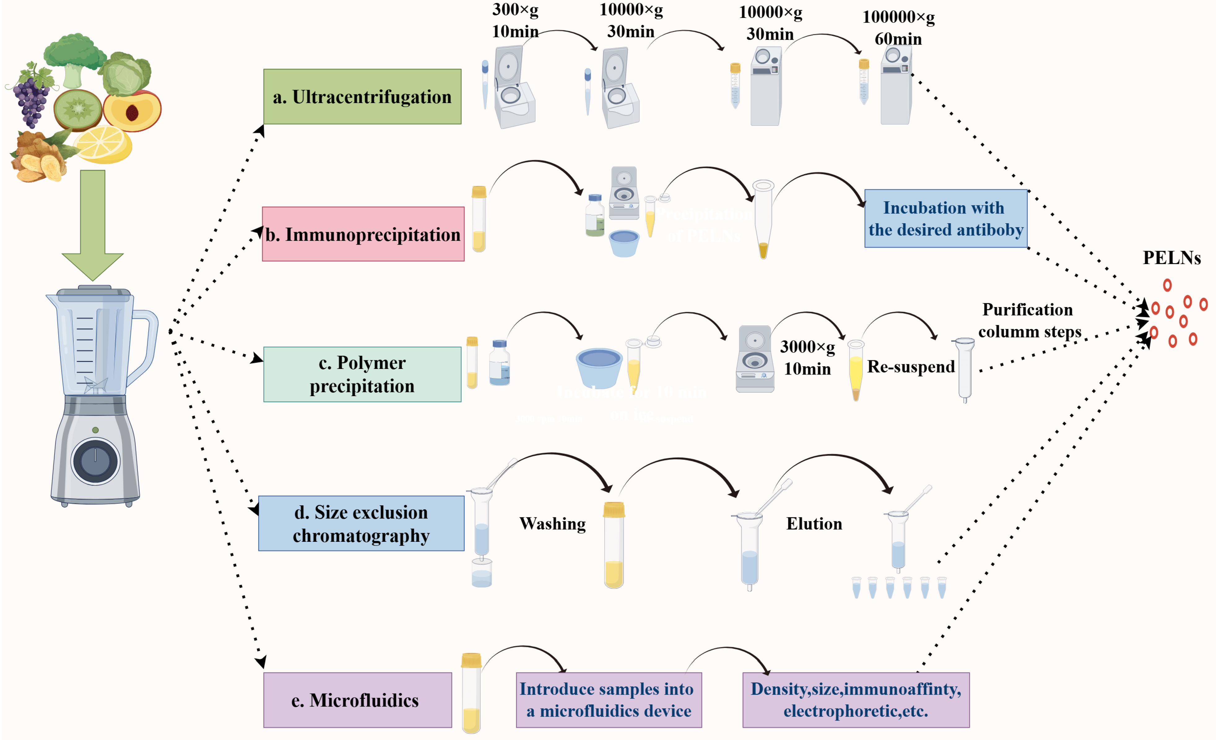 Plant-Derived Exosome-like Nanoparticles: A Comprehensive Overview of ...
