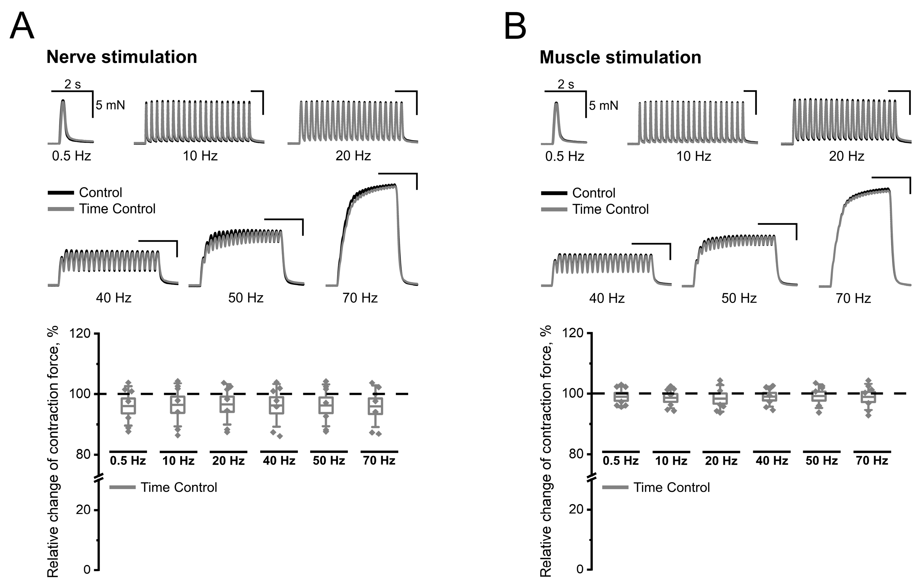 Impairment of Skeletal Muscle Contraction by Inhibitors of GABA ...