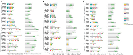 Genome-Wide Identification of FCS-Like Zinc Finger (FLZ) Family Genes ...