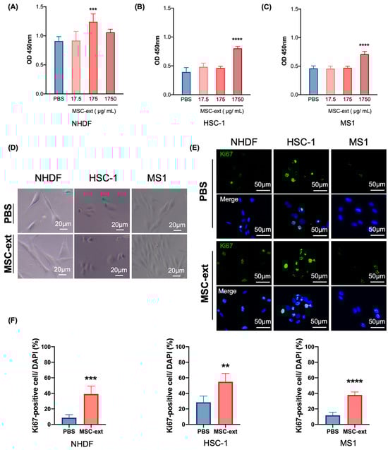 Mesenchymal Stem Cell Extract Promotes Skin Wound Healing | MDPI