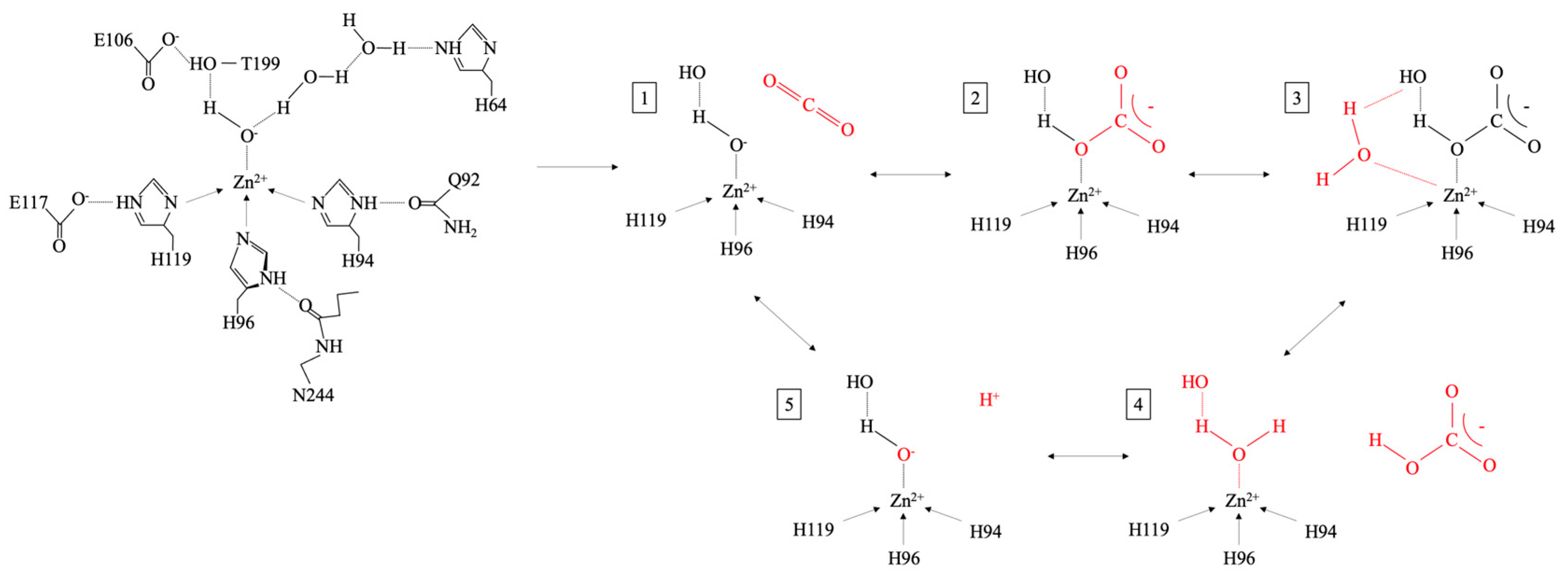 Mineral Carbonation for Carbon Sequestration: A Case for MCP and MICP ...