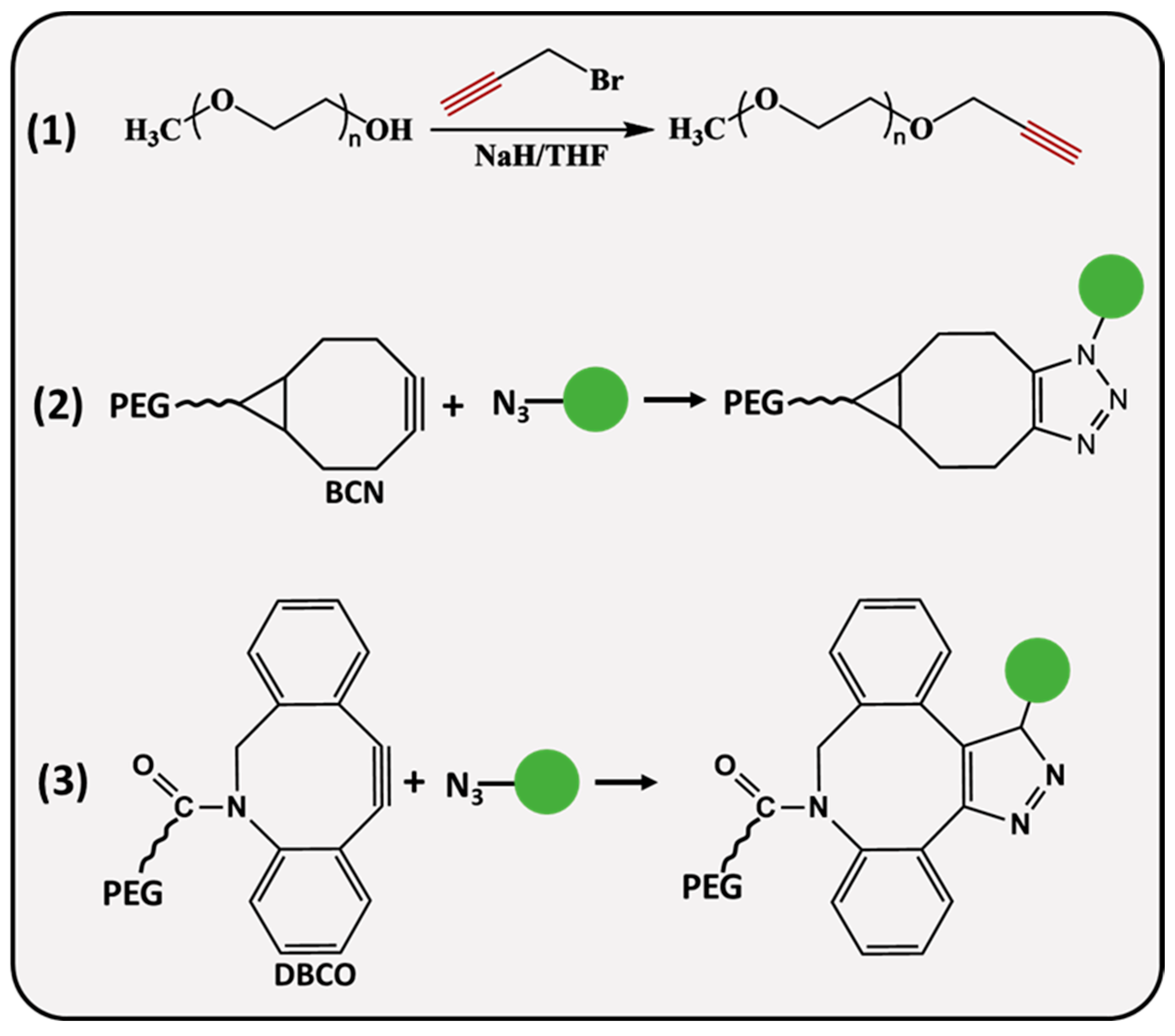 The Art of PEGylation: From Simple Polymer to Sophisticated Drug ...