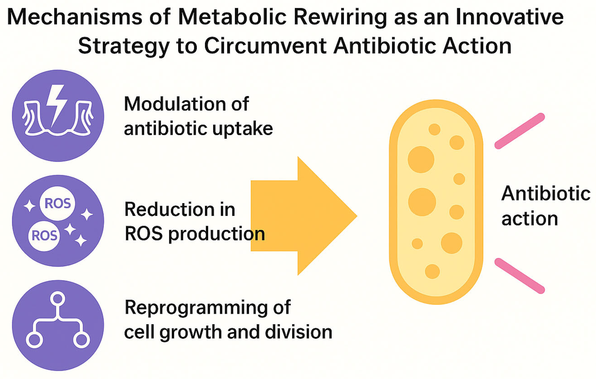 Metabolic Rewiring of Bacterial Pathogens in Response to Antibiotic ...