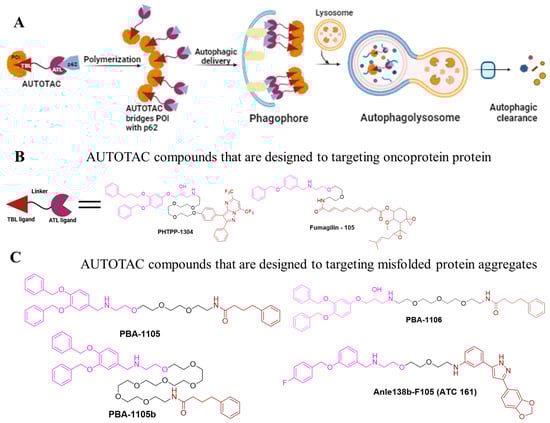 Emerging Concepts of Targeted Protein Degrader Technologies via ...