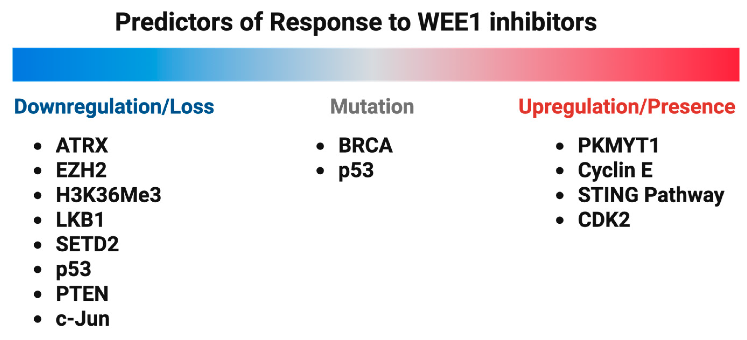 Targeting WEE1 Kinase for Breast Cancer Therapeutics: An Update | MDPI