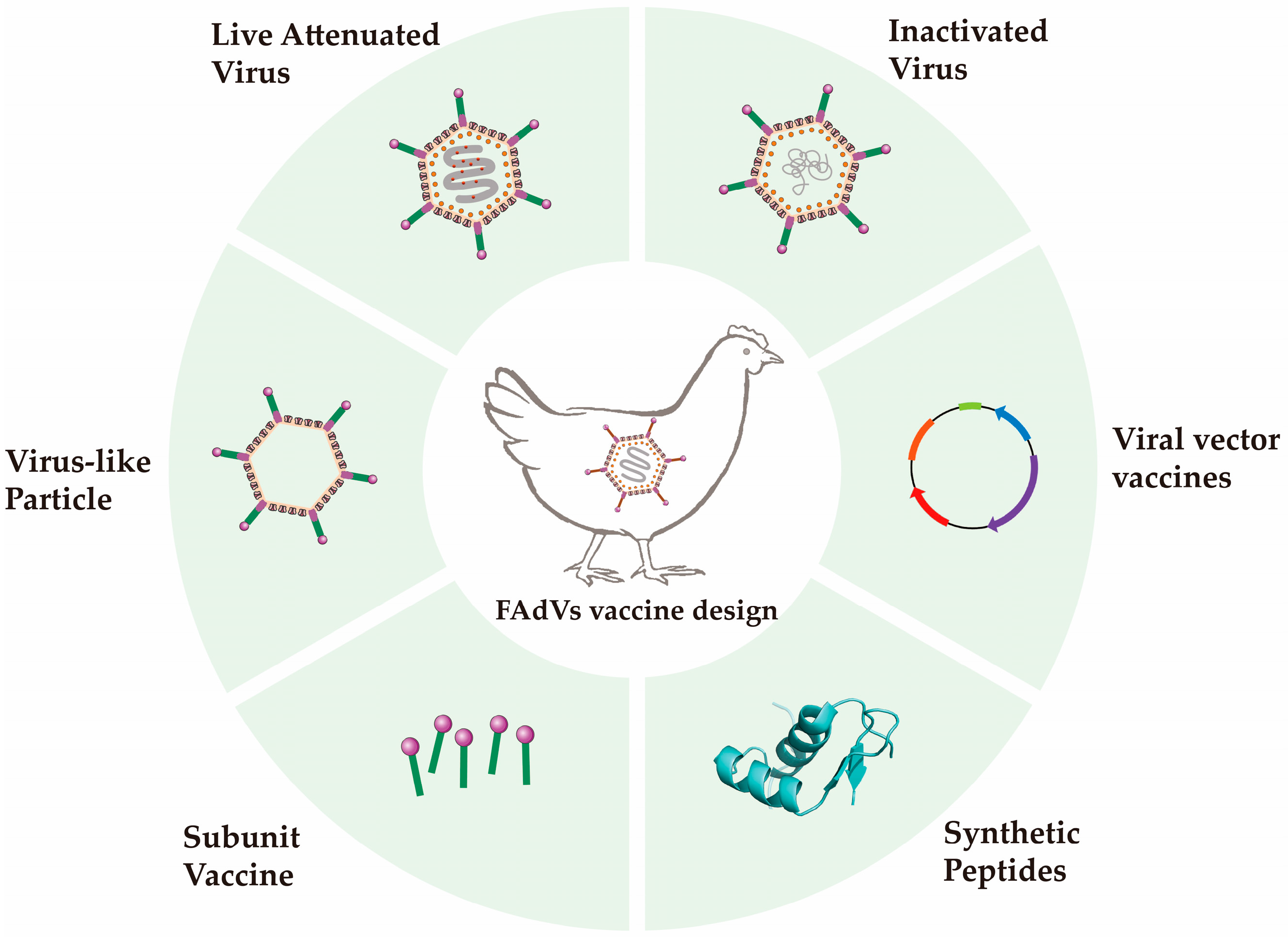 Advances and Prospects of Fowl Adenoviruses Vaccine Technologies in the ...