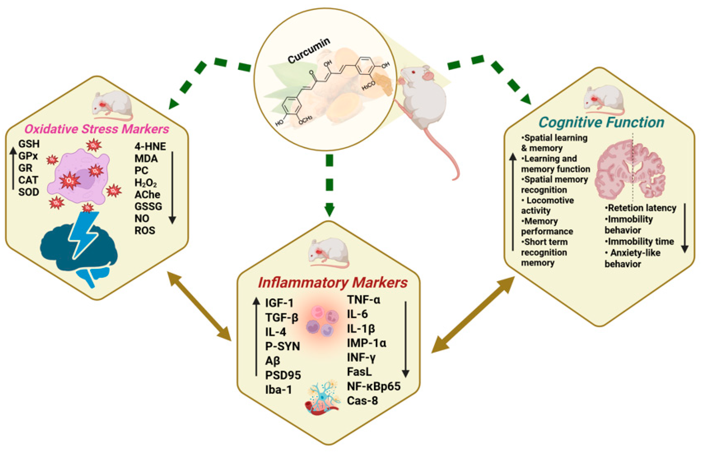 Curcumin and Dementia: A Systematic Review of Its Effects on Oxidative ...