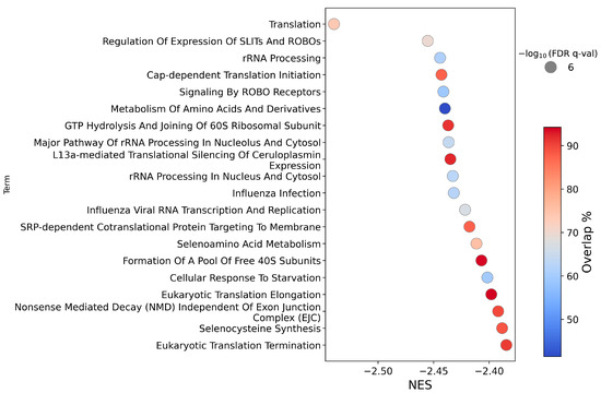 Carbonic Anhydrase 3 Overexpression Modulates Signalling Pathways ...