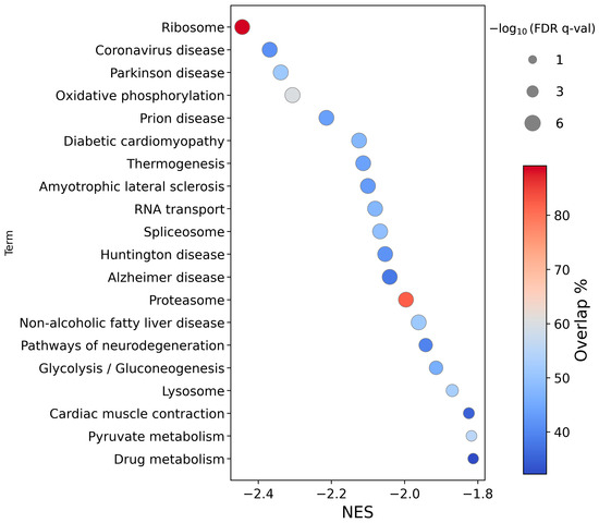 Carbonic Anhydrase 3 Overexpression Modulates Signalling Pathways ...
