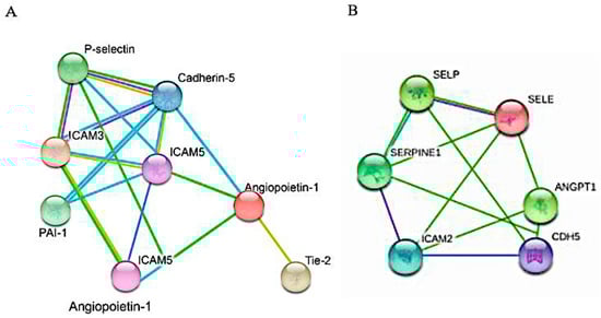 Iatrogenic Hypoglycemia in Type 2 Diabetes Affects Endothelial Proteins ...