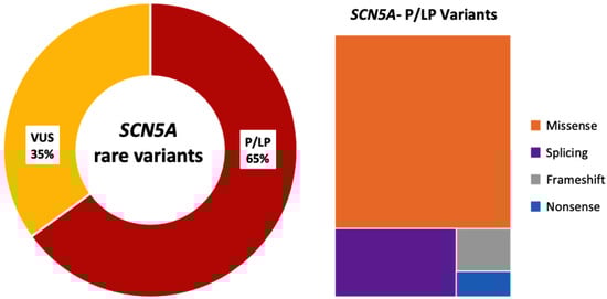 Clinical Spectrum of Arrhythmogenic Entities in Spanish Children ...