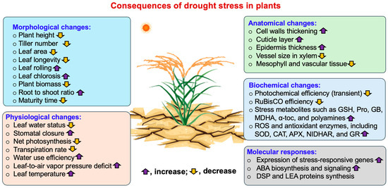 Harnessing Plant Microbiomes to Modulate Molecular Signaling and ...