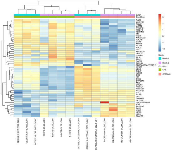 Atorvastatin Protects Against Deleterious Carfilzomib-Induced ...