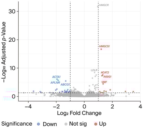 Atorvastatin Protects Against Deleterious Carfilzomib-Induced ...