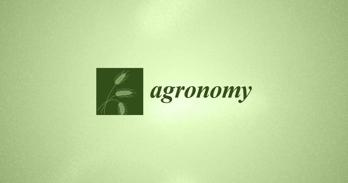 Machine Learning-Based Prediction of Soil Bulk Density Using Soil ...