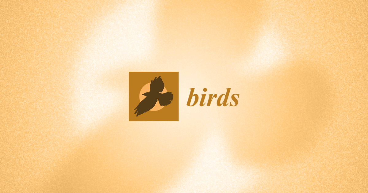 Literature Review on Mitigation Measures for Bird Electrocutions ...