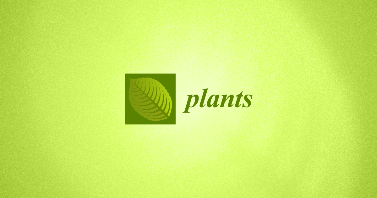 Aims & Scope | Plants | MDPI